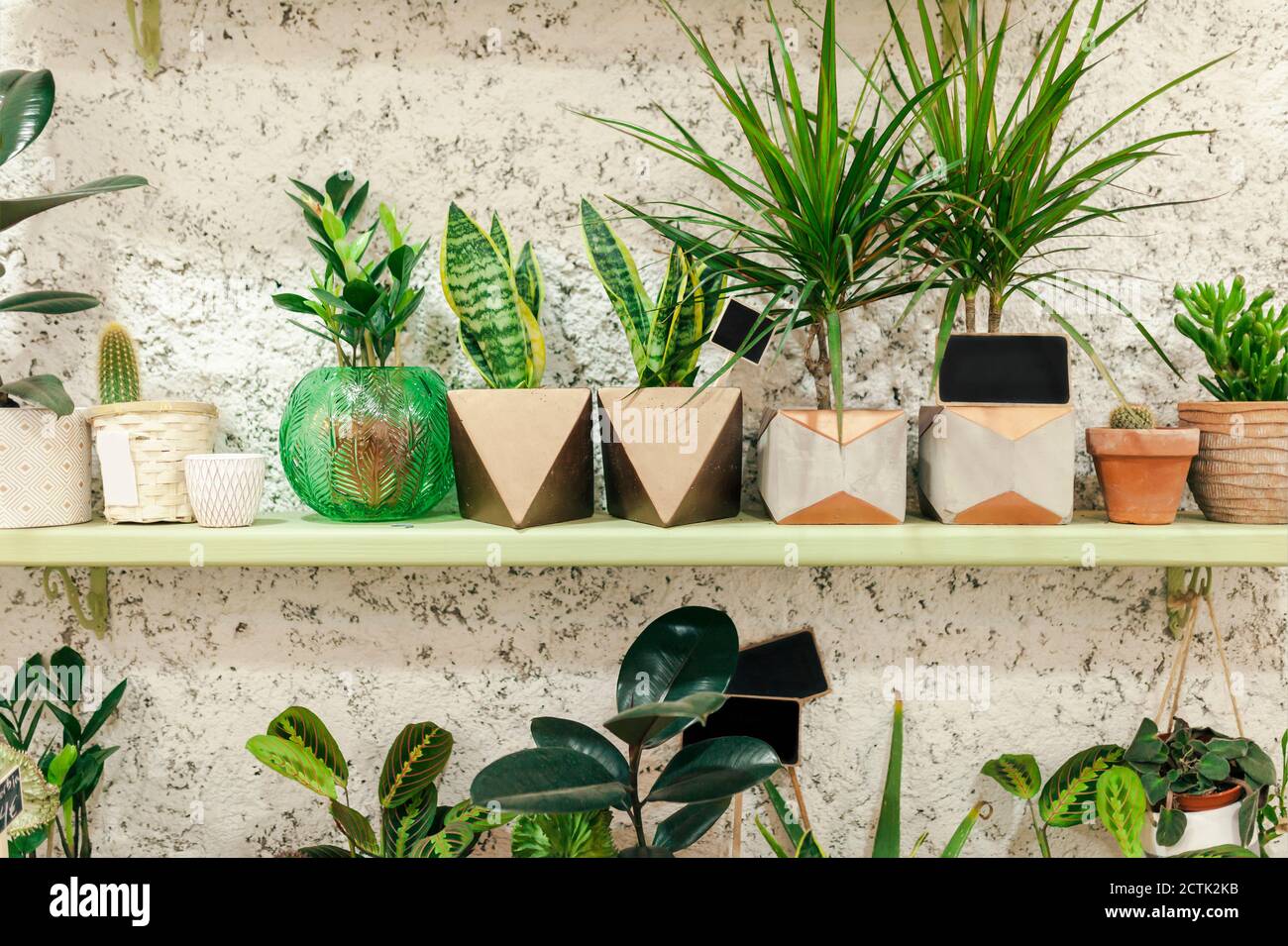 Flower shop window display hi-res stock photography and images - Alamy