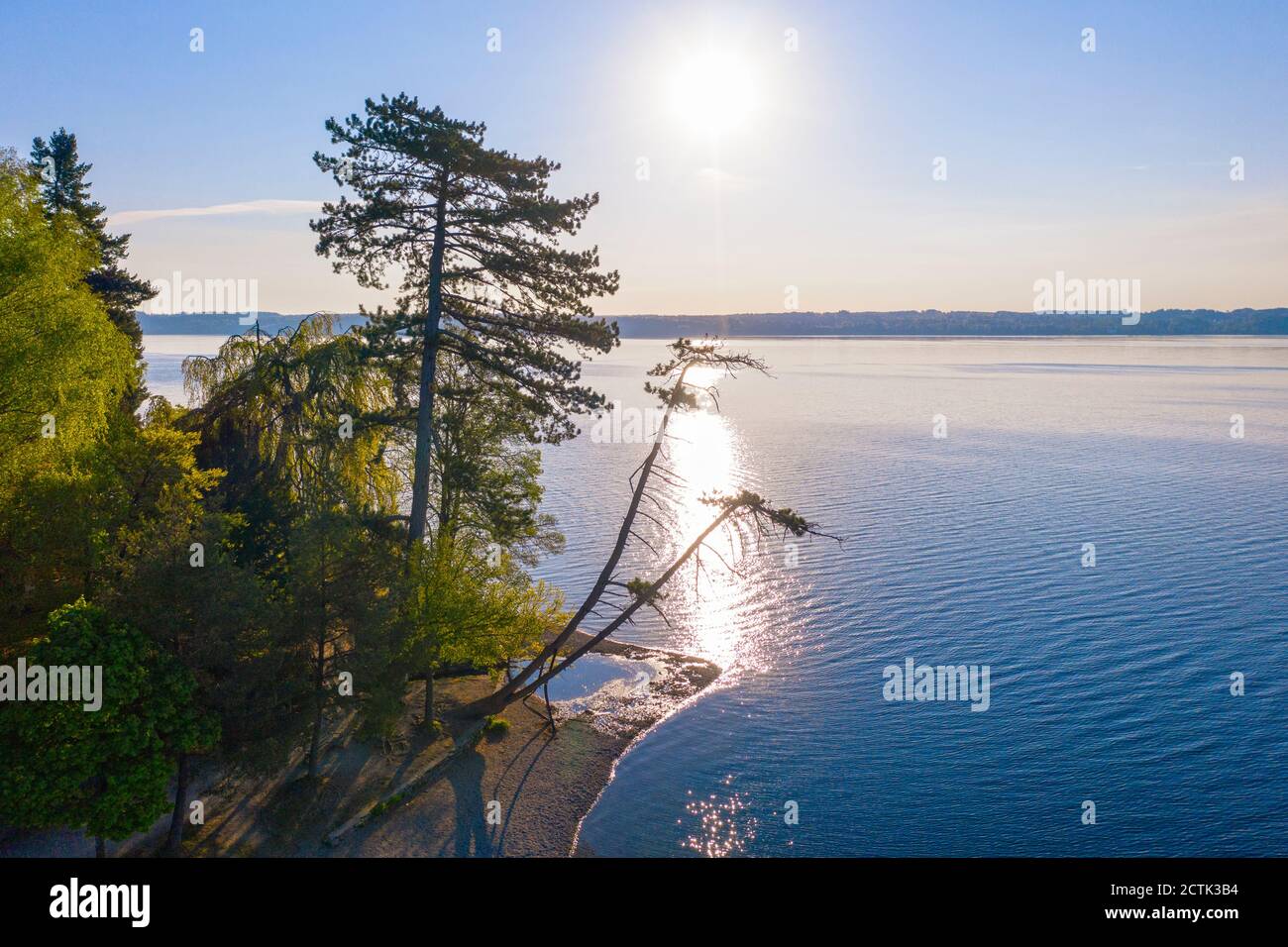 Pine trees birds eye view hi-res stock photography and images - Alamy