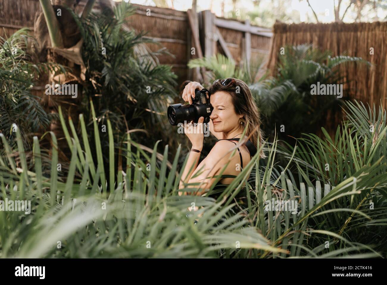 Female photographer photographing palm trees Stock Photo - Alamy