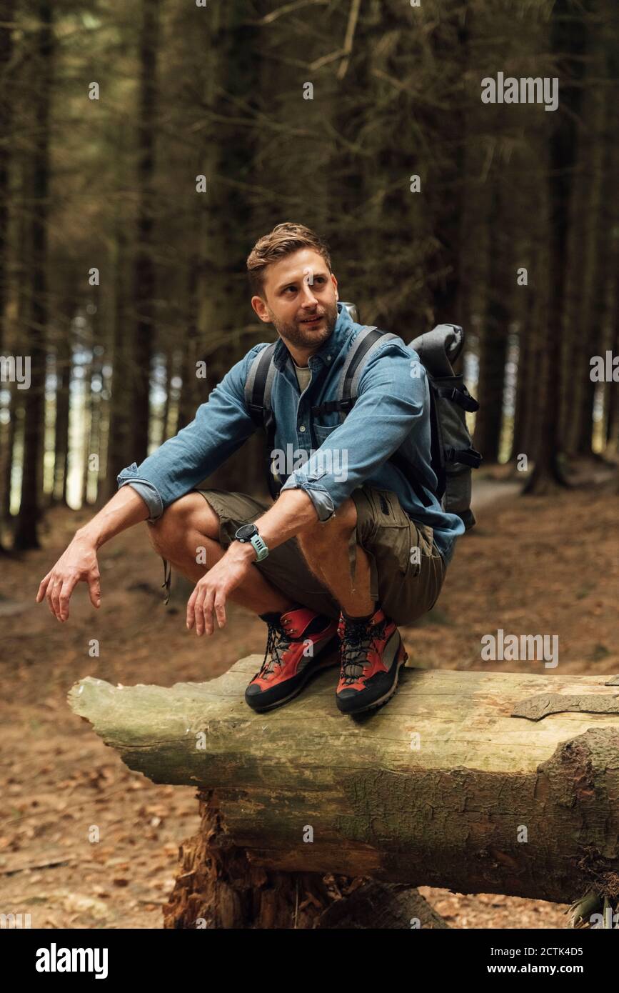 Mid adult man looking away while crouching on log against trees in ...