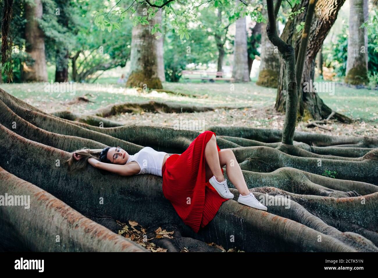 Root arms hi-res stock photography and images - Alamy