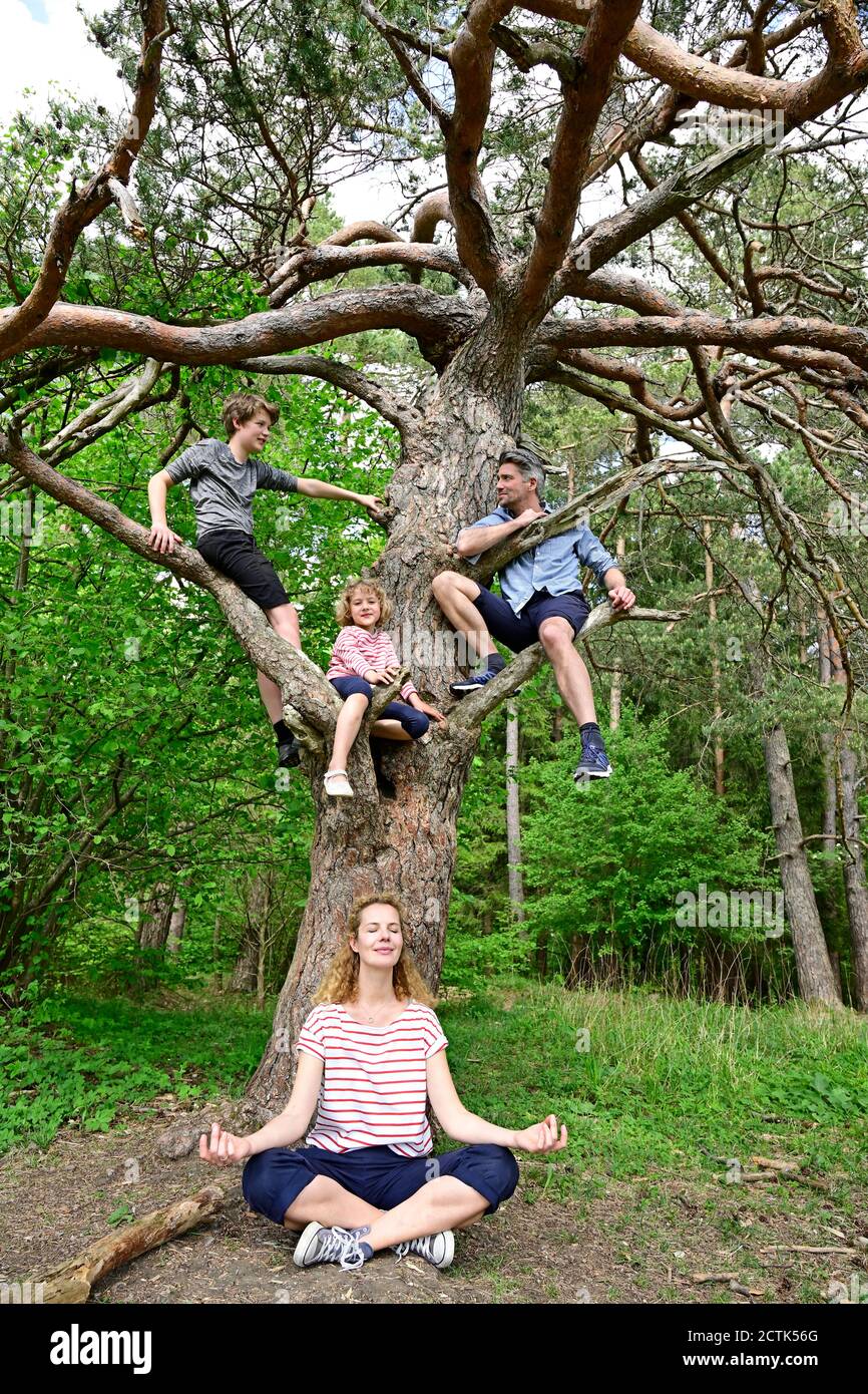 Group people sitting under tree hi-res stock photography and images - Alamy