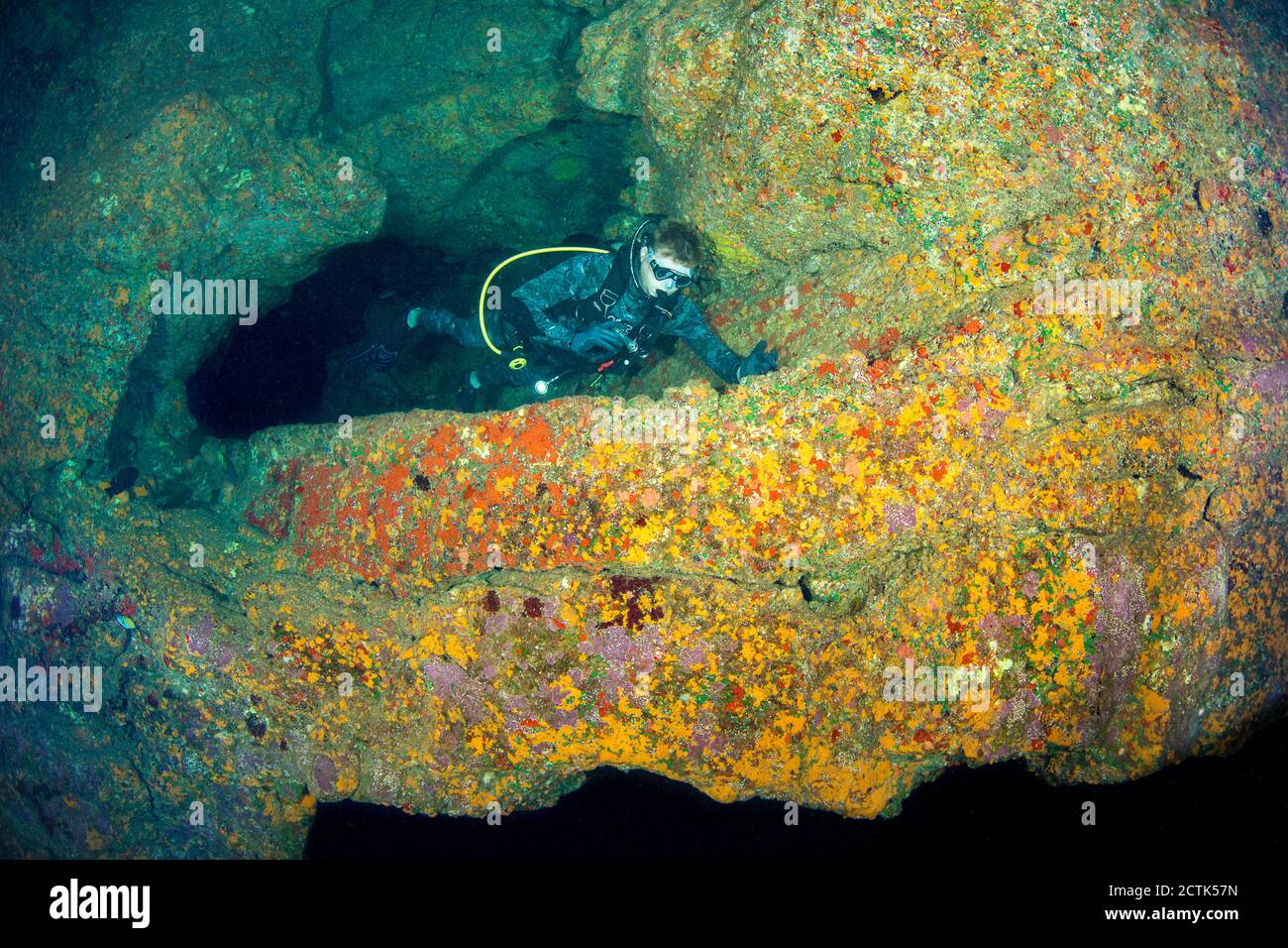 A diver (MR) explores the sponge encrusted volcanic maze of a dive site ...
