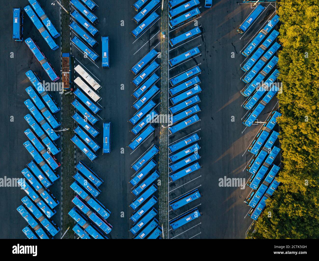Aerial view of parking lot filled with blue buses Stock Photo - Alamy