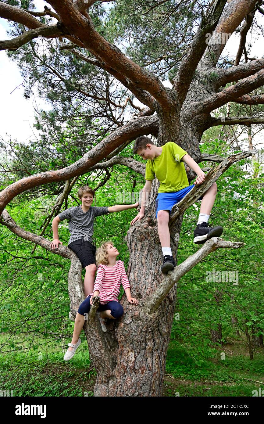 Girl Sitting On Branch Of Tree High Resolution Stock Photography and ...
