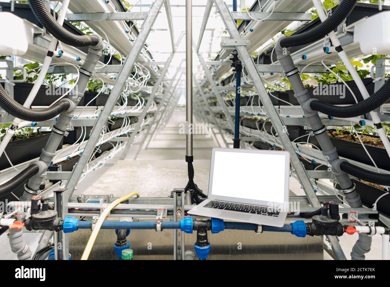Laptop on irrigation equipment against plants in greenhouse Stock Photo ...