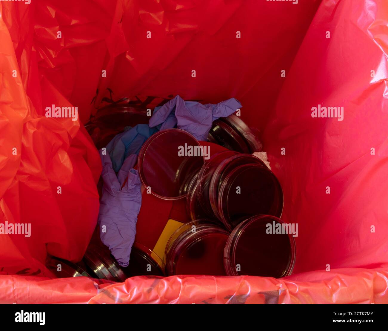 Medical waste bucket. Medical waste, laboratory used petri dishes and ...