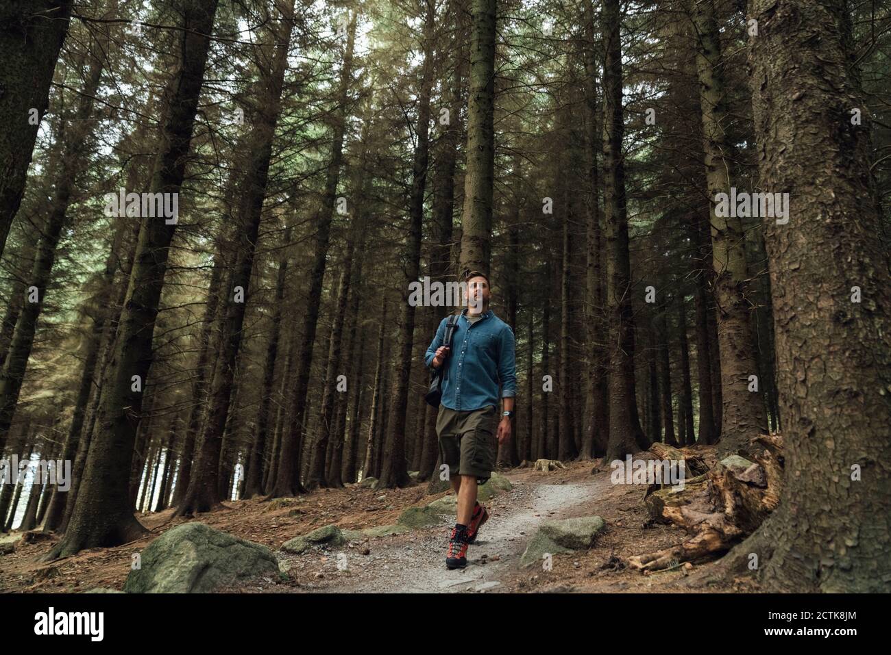 Walking the trail hi-res stock photography and images - Alamy