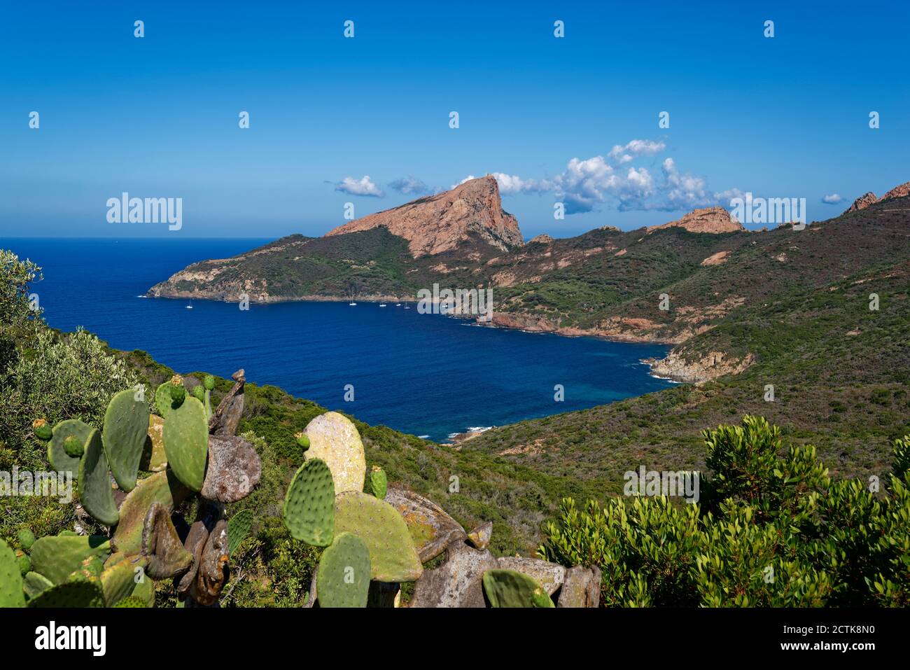 France, Corse-du-Sud, Piana, Scenic view of Gulf of Porto and Calanques ...
