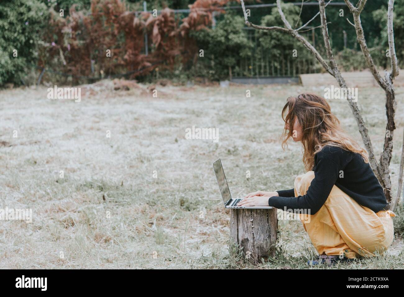 Woman sitting on tree stump hi-res stock photography and images - Alamy