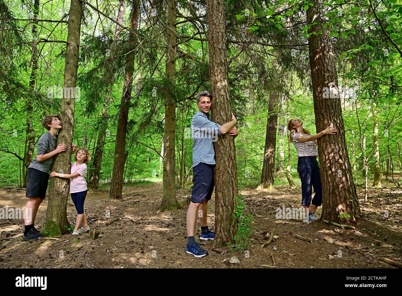 Family embracing tree while standing in forest Stock Photo - Alamy