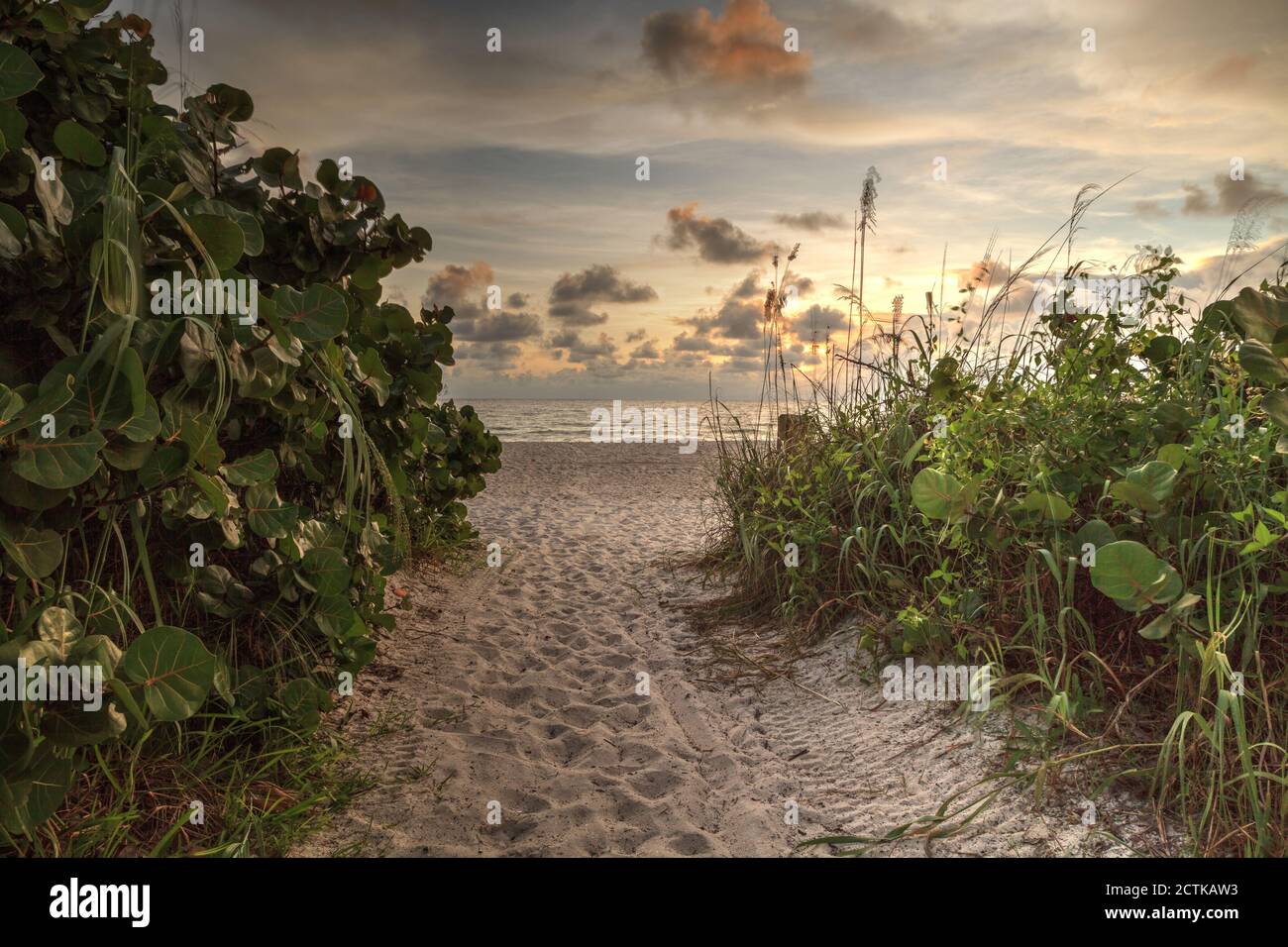 White sand path leading toward Delnor Wiggins State Park at sunset in ...