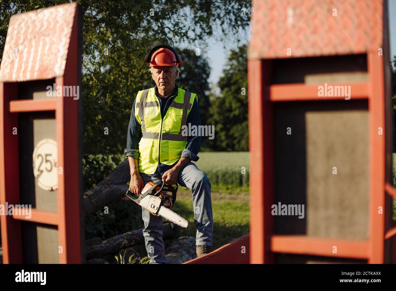 Man holding chainsaw while standing in forest Stock Photo - Alamy