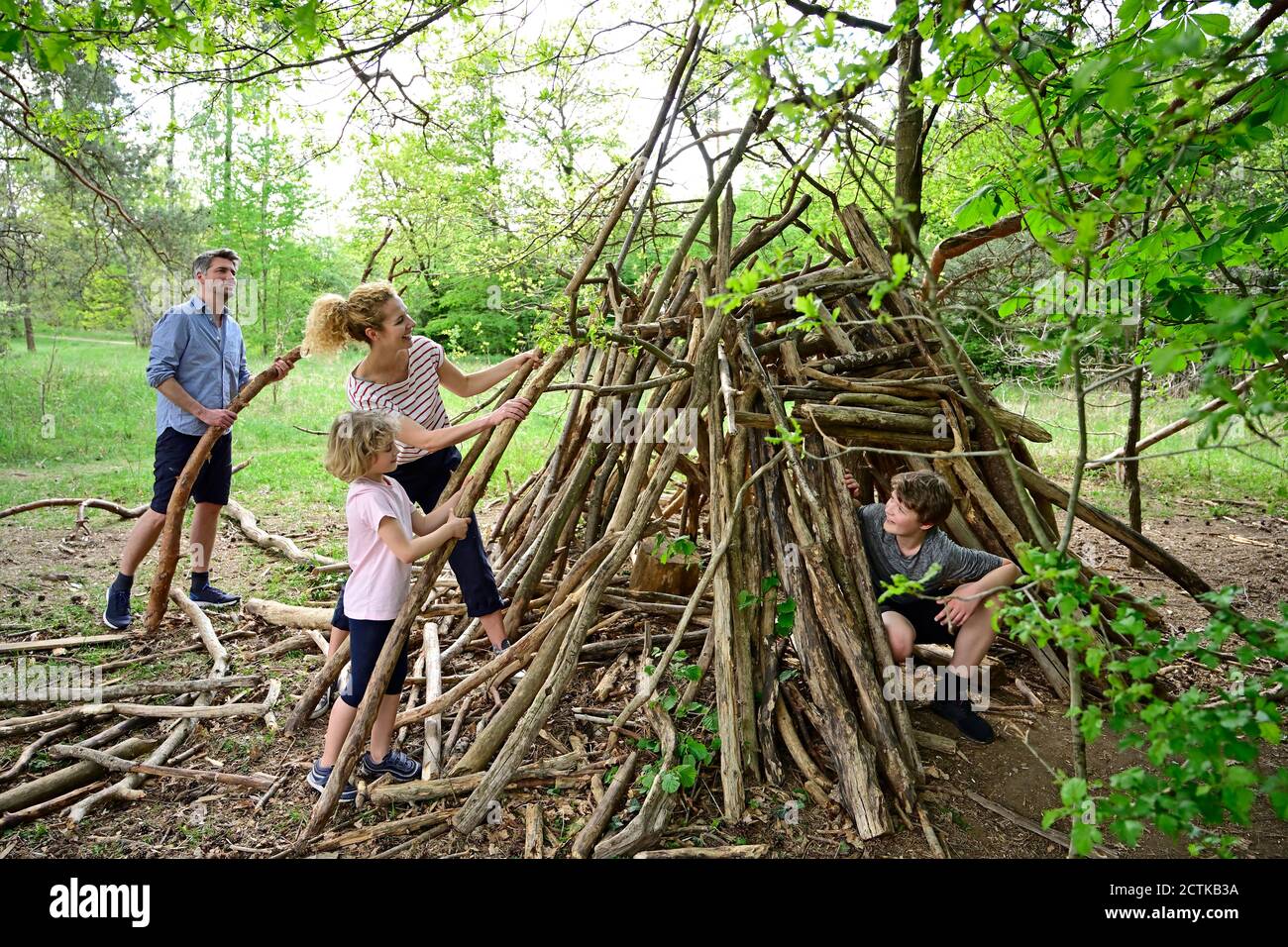 Log in forest hi-res stock photography and images - Alamy