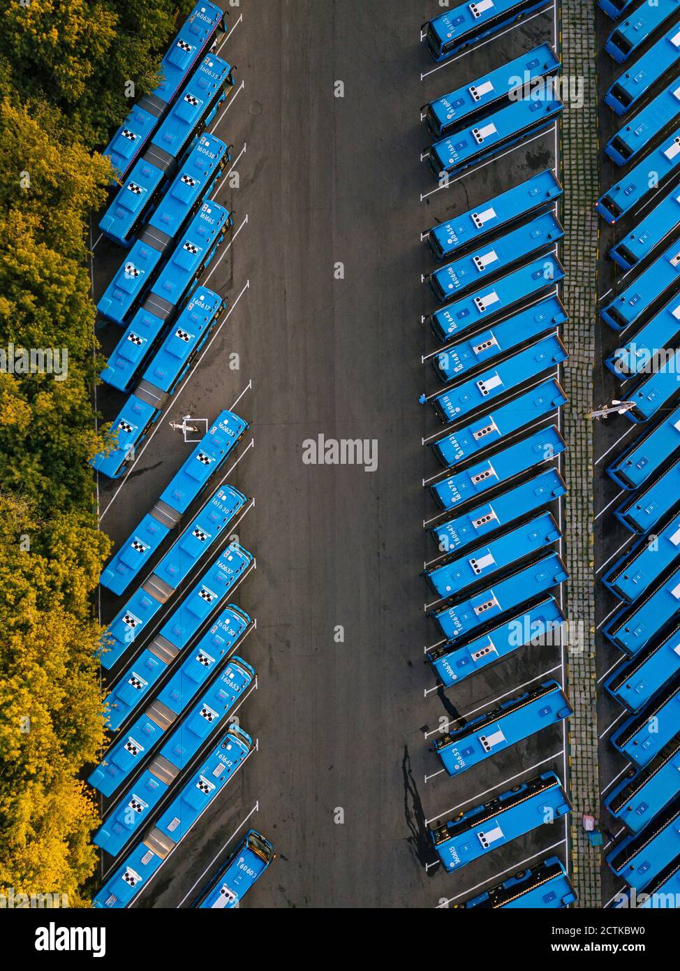 Aerial view of parking lot filled with blue buses Stock Photo - Alamy