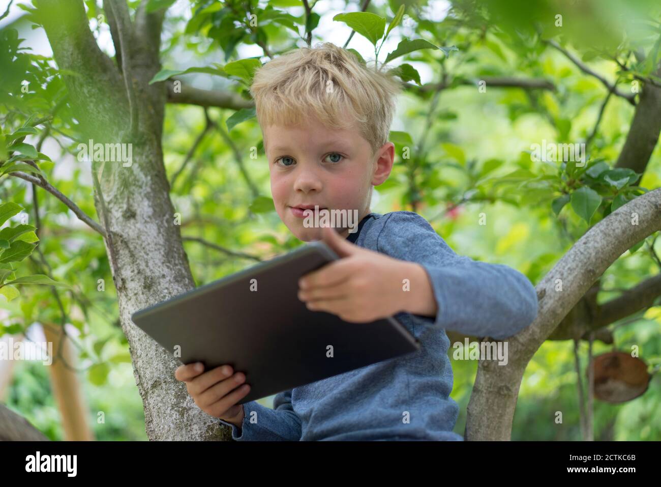 Boy sitting tree branch hi-res stock photography and images - Alamy