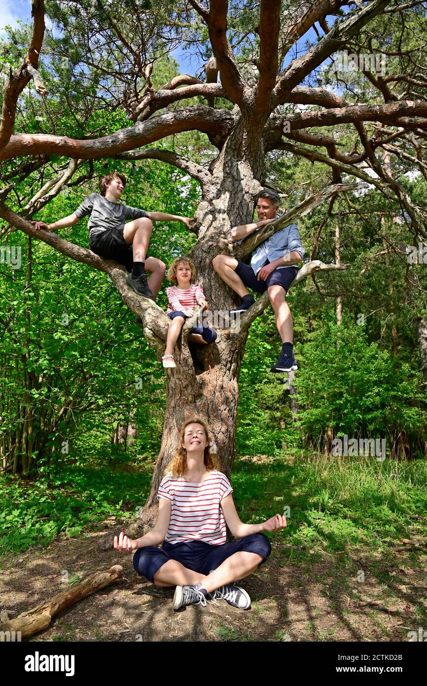 Group people sitting under tree hi-res stock photography and images - Alamy