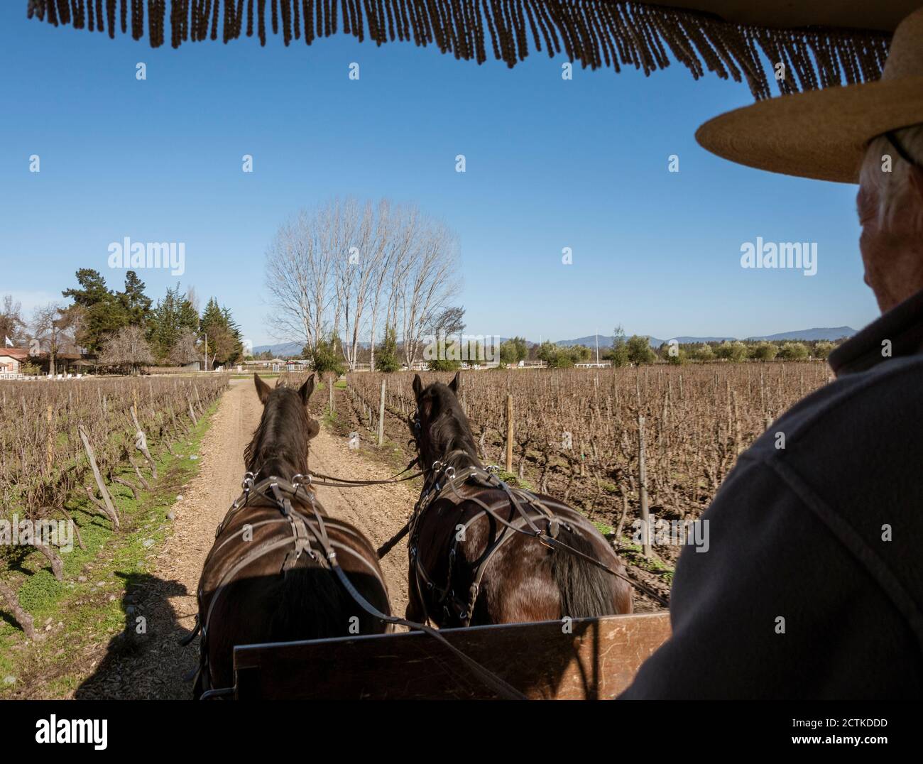 Chile horse and buggy hi-res stock photography and images - Alamy