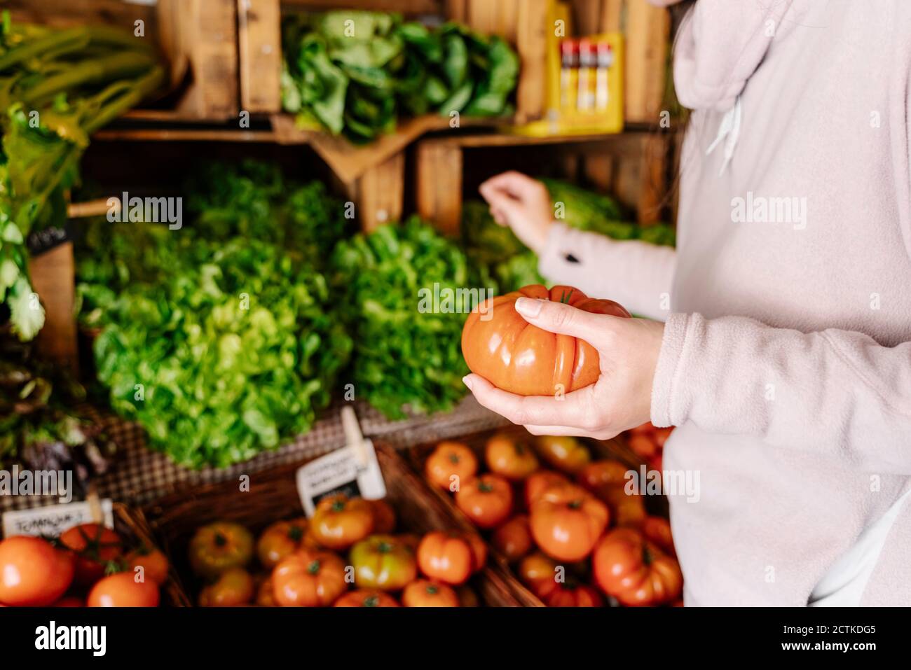 Person choosing picking up vegetables hi-res stock photography and ...