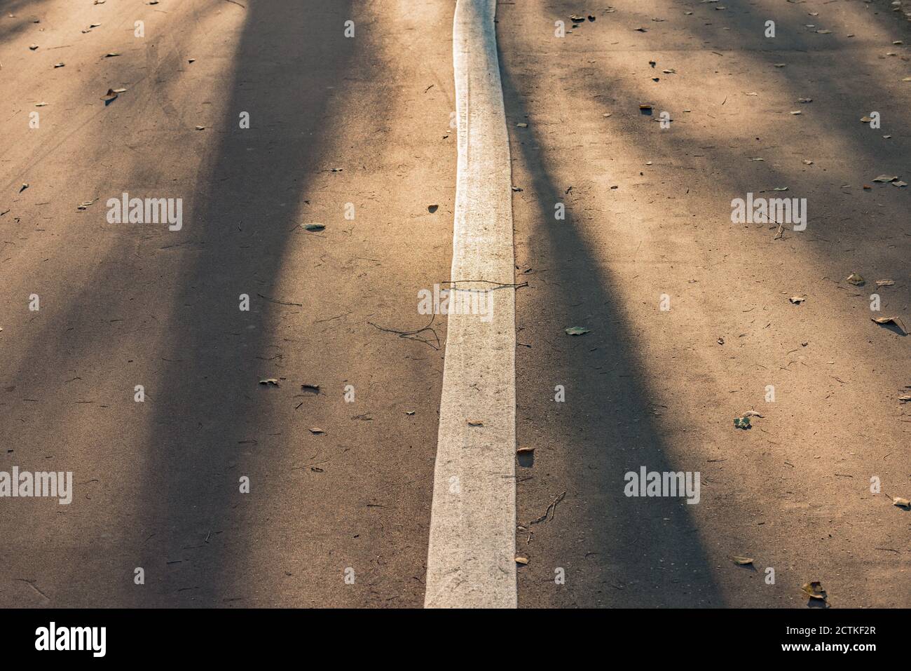 Shadows from the trees on the asphalt road surface Stock Photo - Alamy