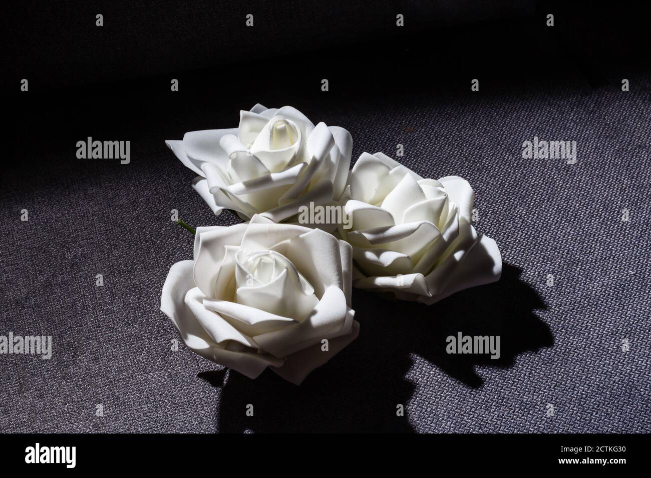 three white roses on a gray background Stock Photo - Alamy
