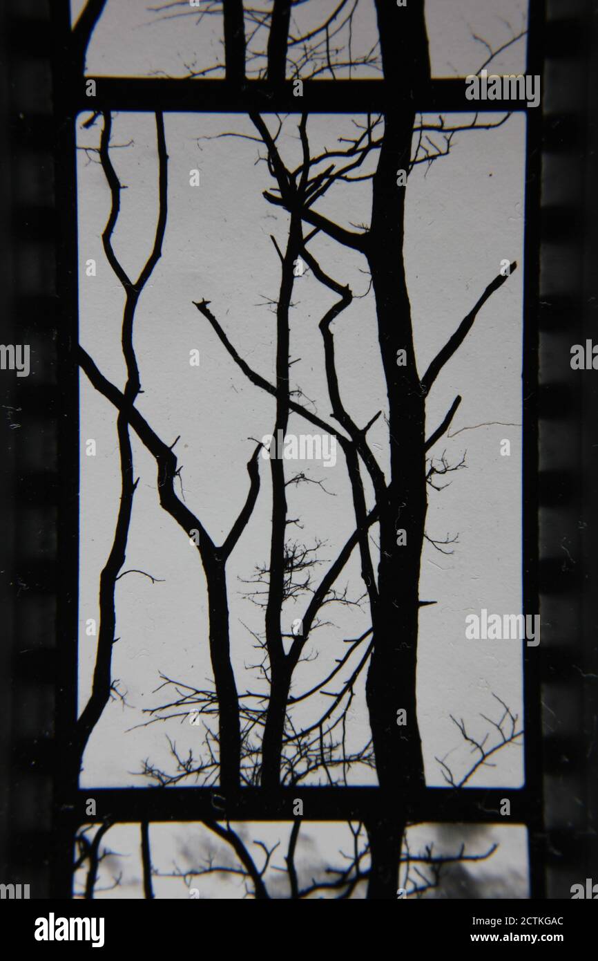 Fine 1970s vintage black and white photography of a haggard ragged ...