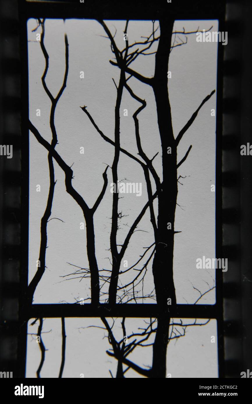 Fine 1970s vintage black and white photography of a haggard ragged ...