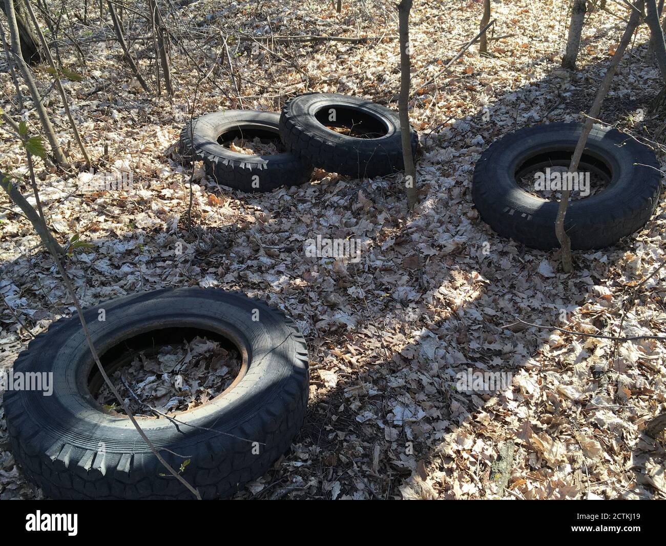 Dirty old rubber tires in forest. Illegal Stock Photo - Alamy