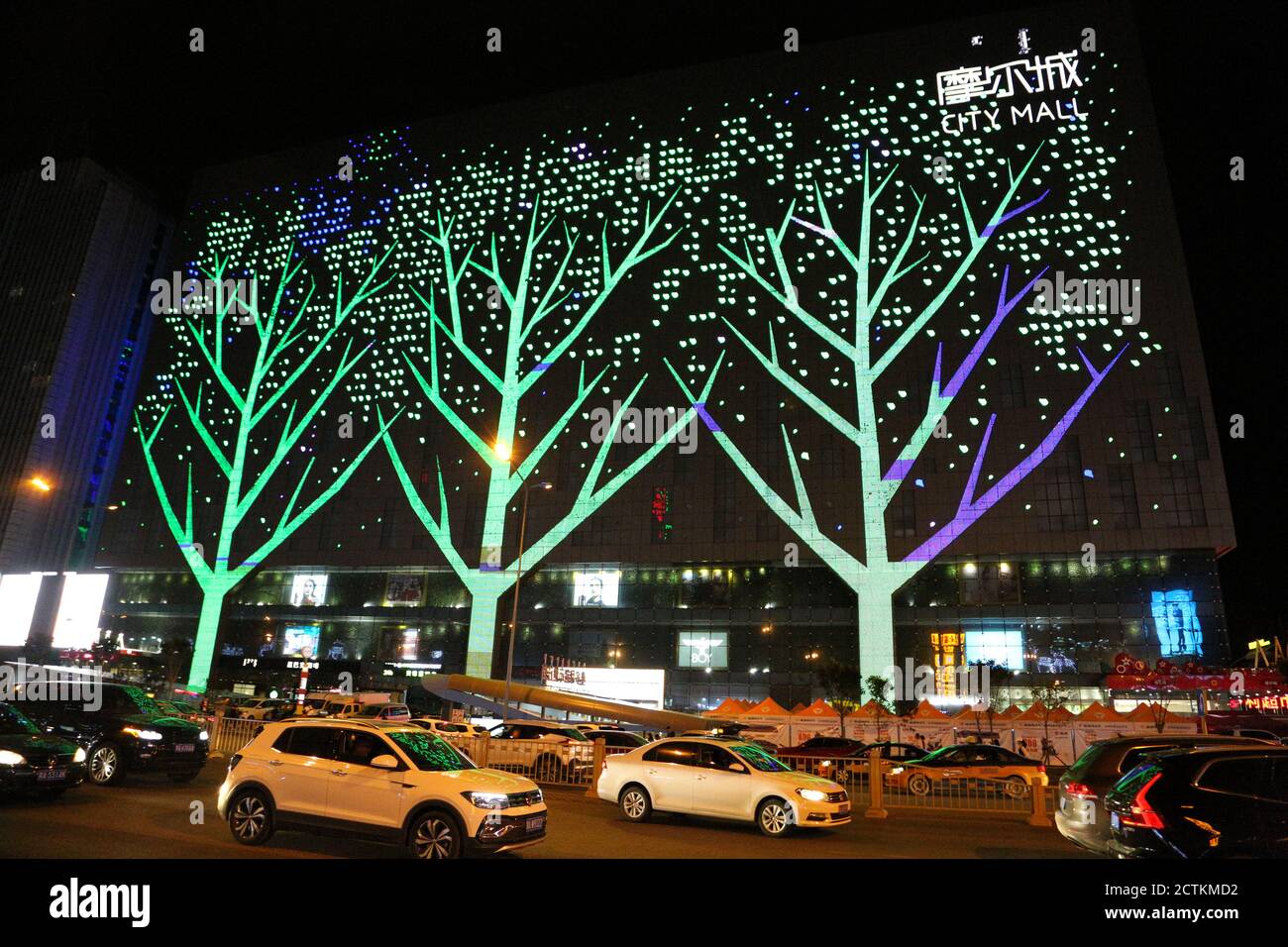 View of the LED lighted tree building in Huhhot city, north China's ...