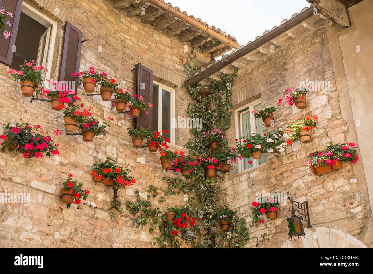 Assisi, Umbria region, Italy. Potted red geraniums in flower pots ...