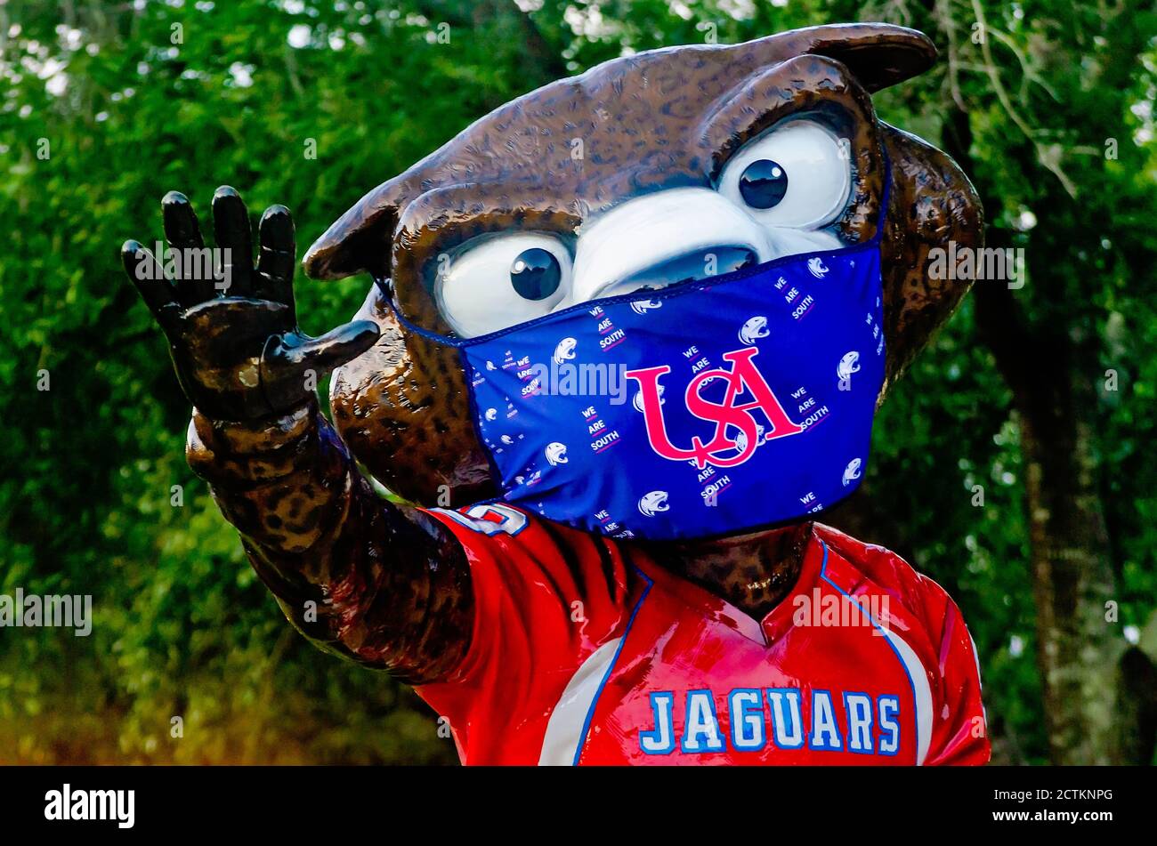 Jaguar Mask High Resolution Stock Photography and Images - Alamy