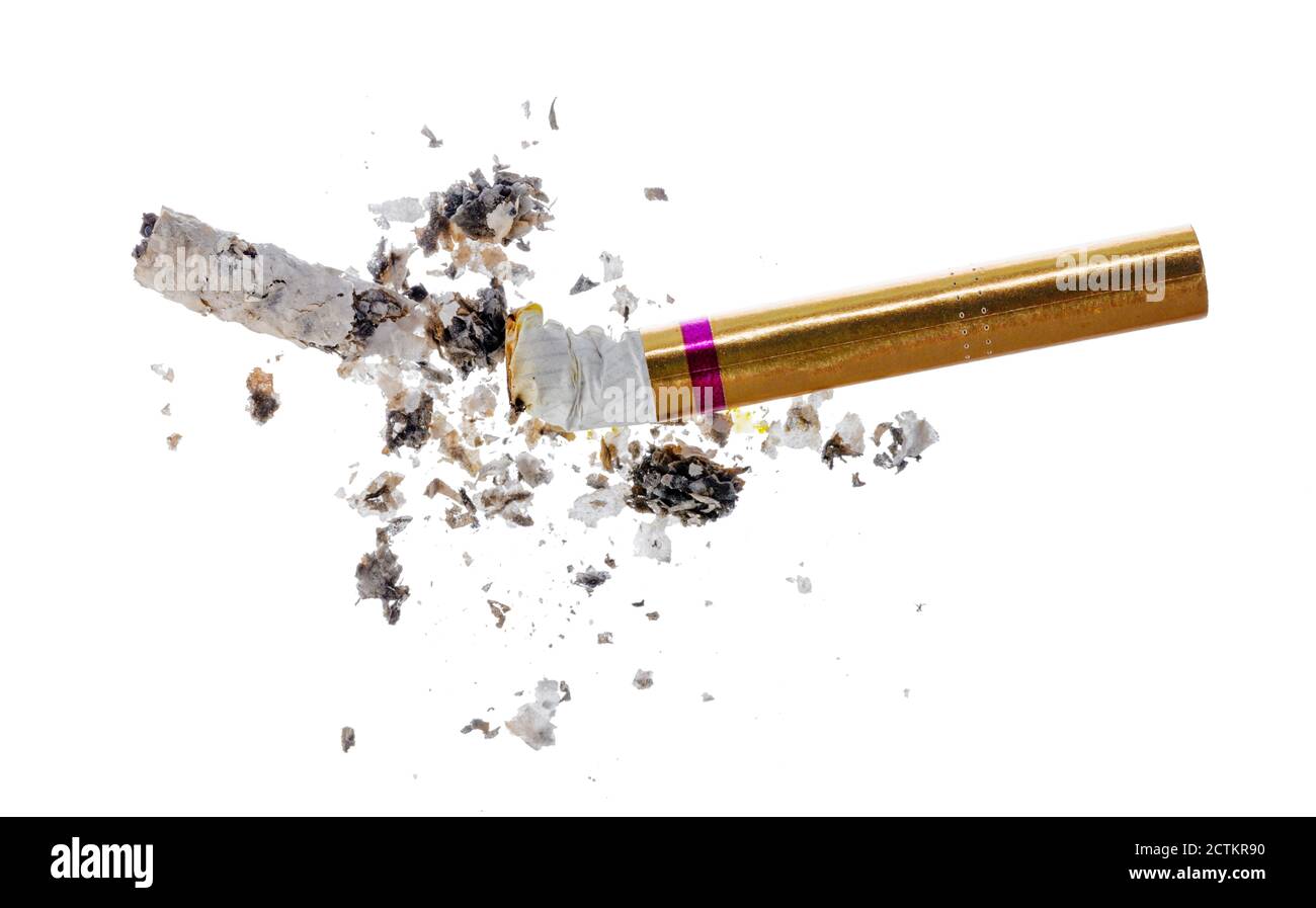 Extinguished butt of cigarette isolated on white Stock Photo - Alamy