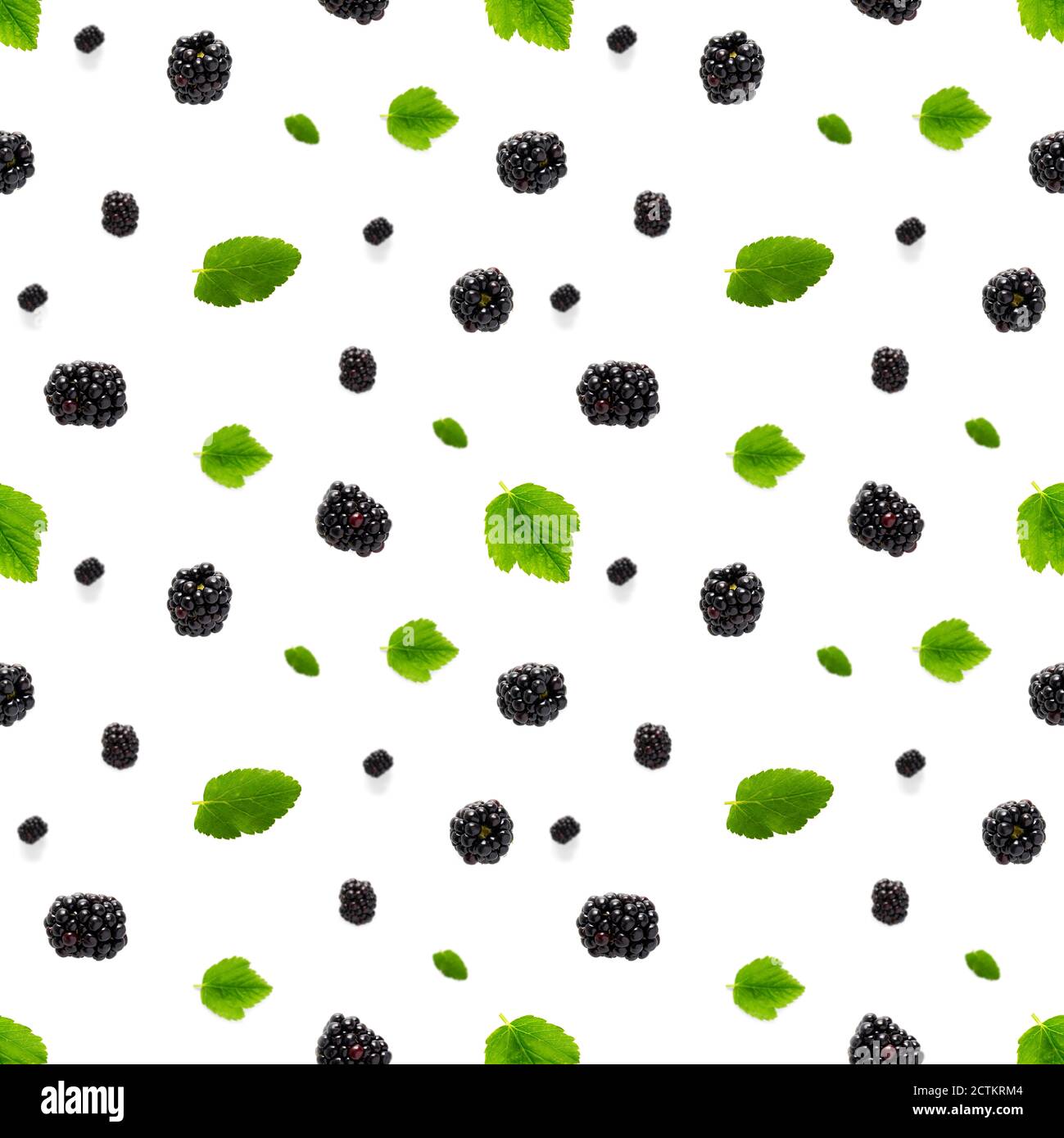 Falling Bramble Seamless pattern. Fresh Falling blackberry seamless ...