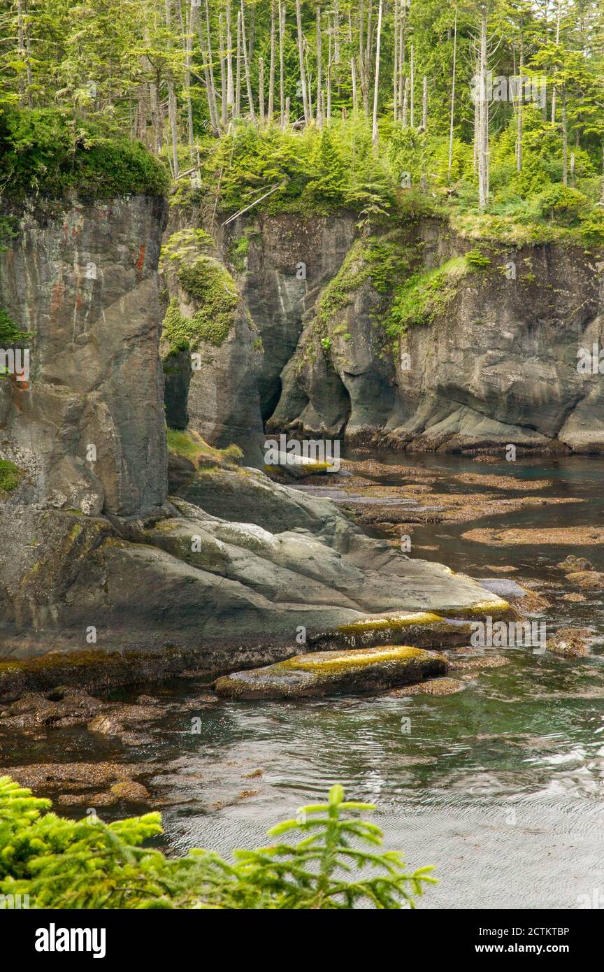 Pacific ocean makah indian reservation hi-res stock photography and ...