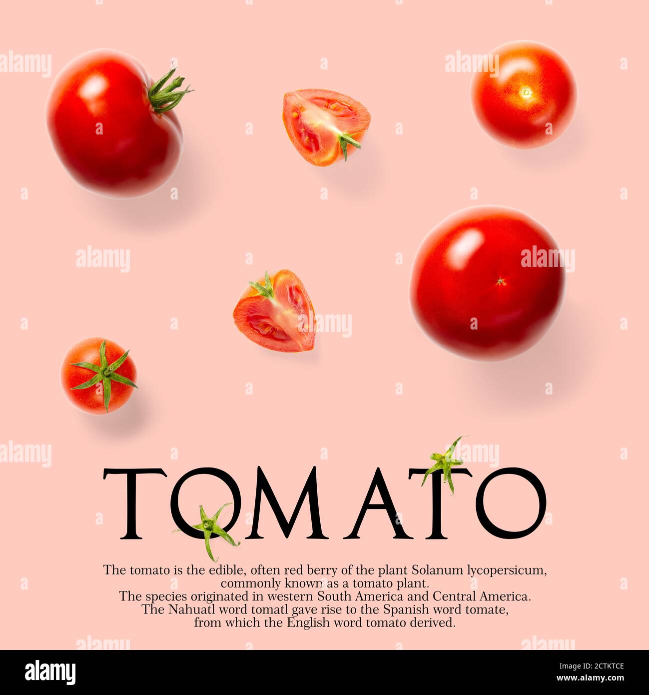 Creative layout made of tomato on the pink background. Creative flat ...