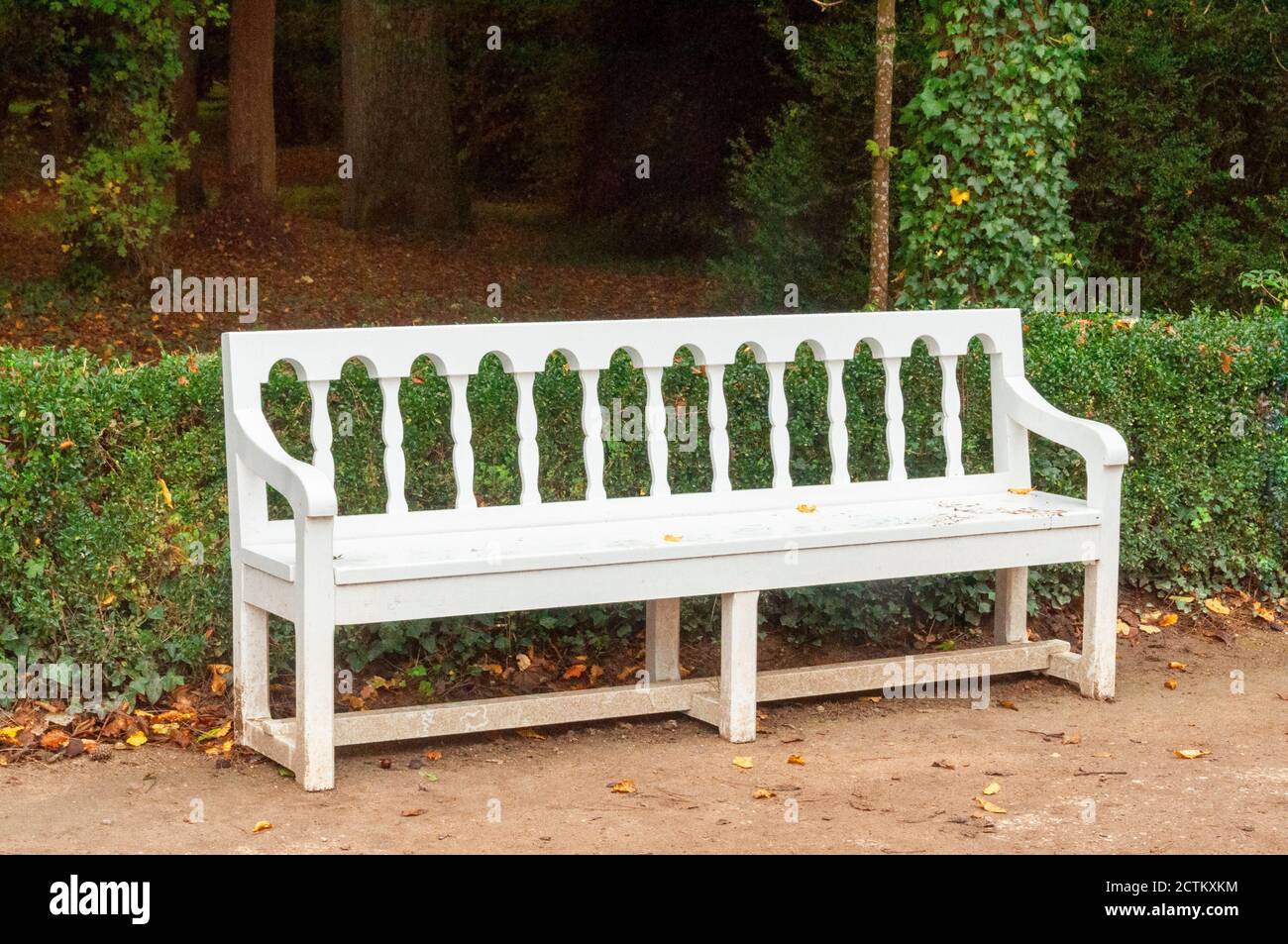 Wooden bench in a park in front of trees hi-res stock photography and ...