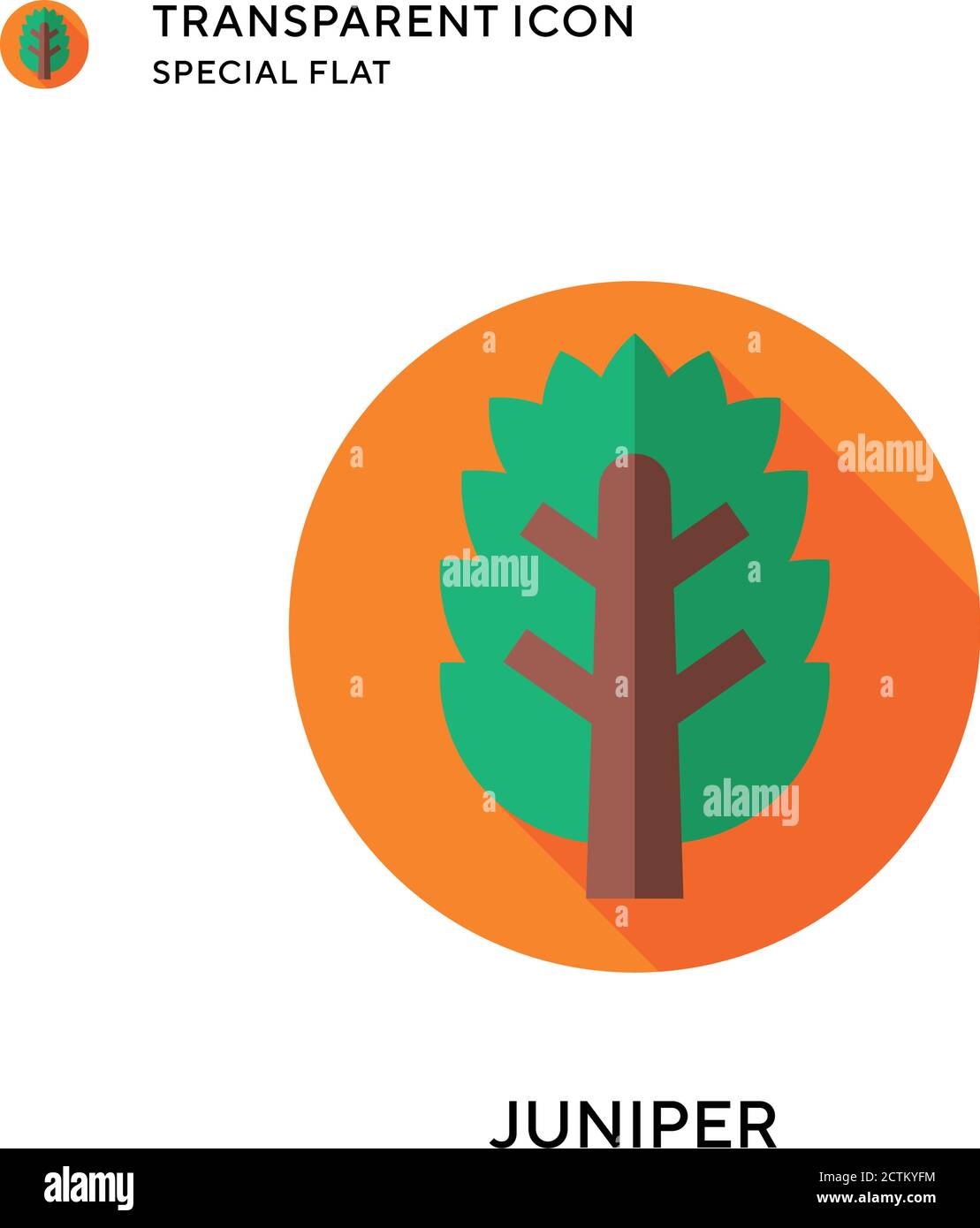 Juniper vector icon. Flat style illustration. EPS 10 vector Stock ...