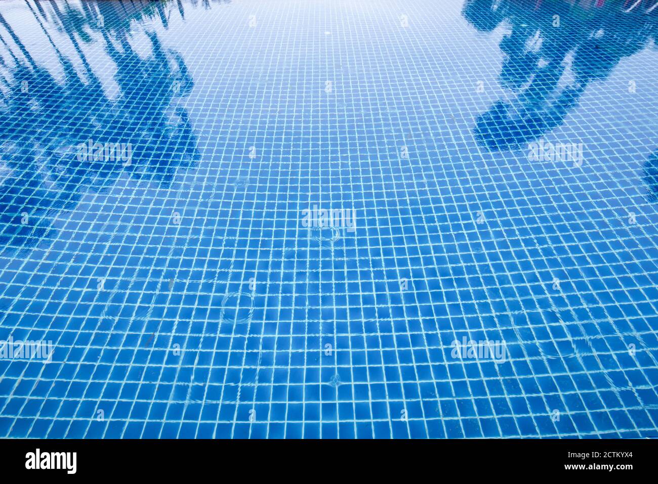 Photo of Water in a swimming pool with sunny reflections Stock Photo ...