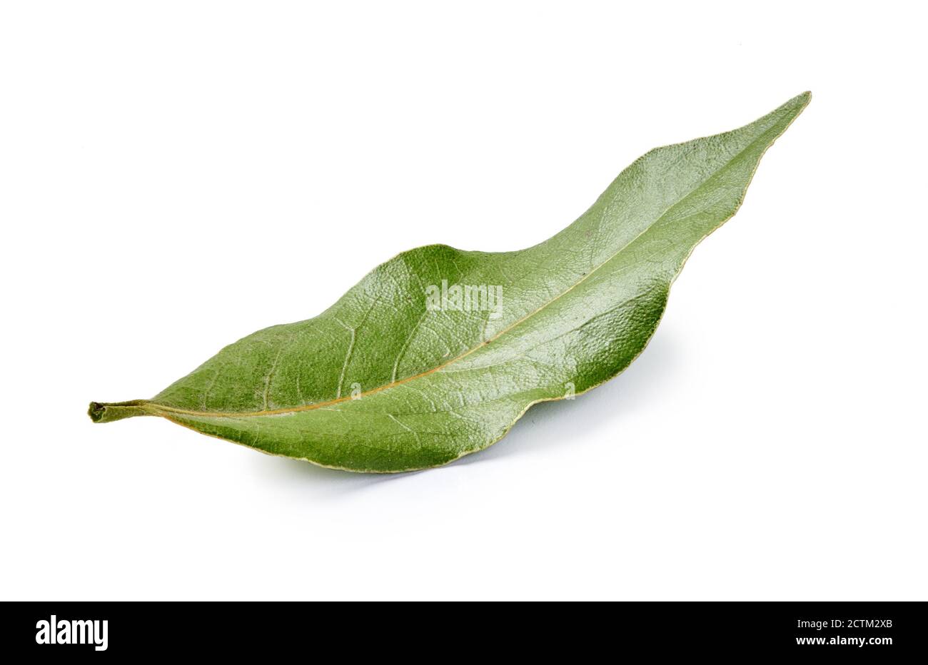 Laurel leaf background hi-res stock photography and images - Alamy