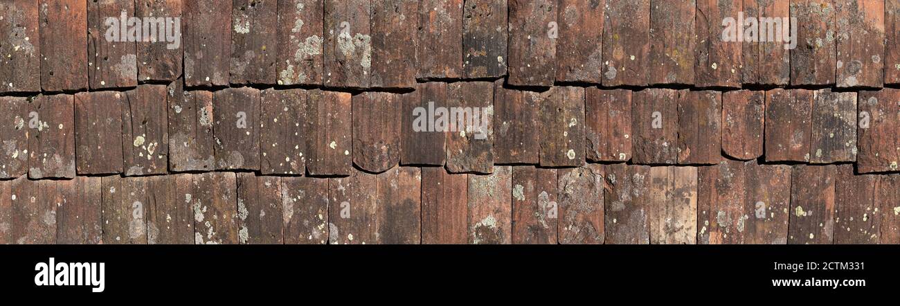 Panoramic close up three hi-res stock photography and images - Alamy