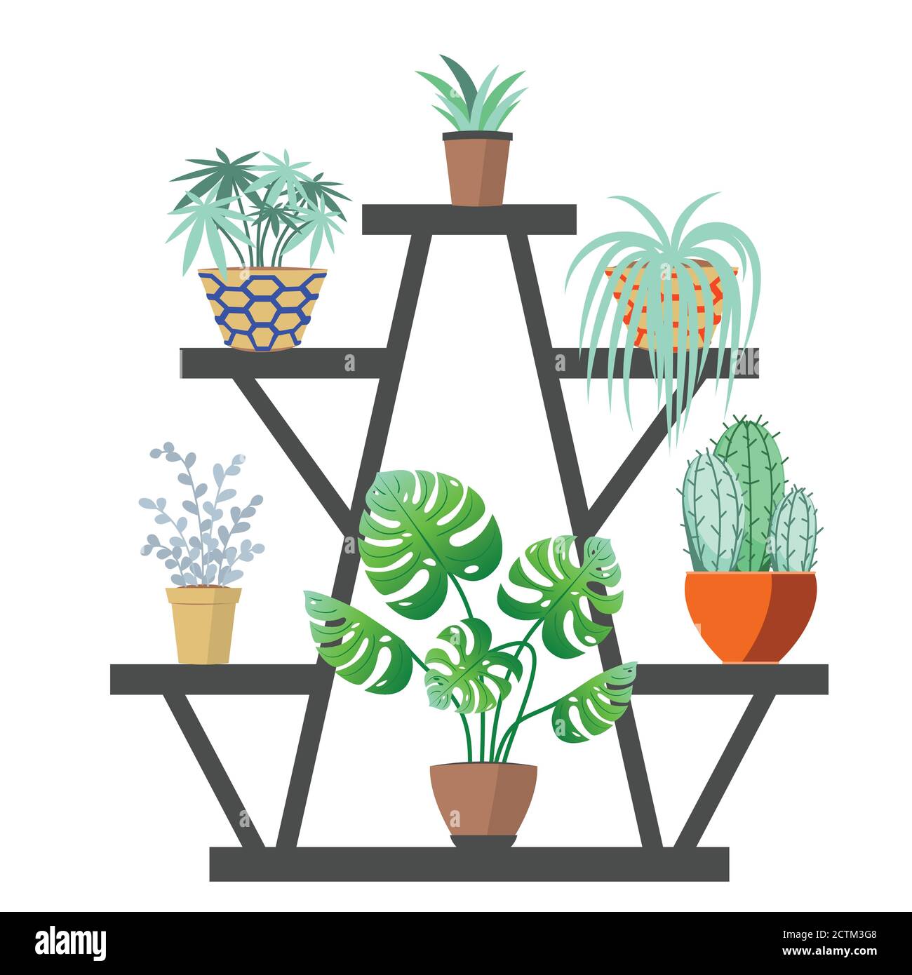 Collection of house plants abstract illustration on white background ...