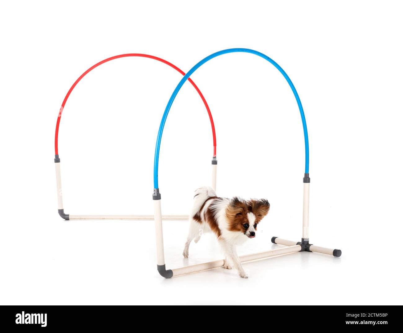 hooper training in front of white background Stock Photo - Alamy
