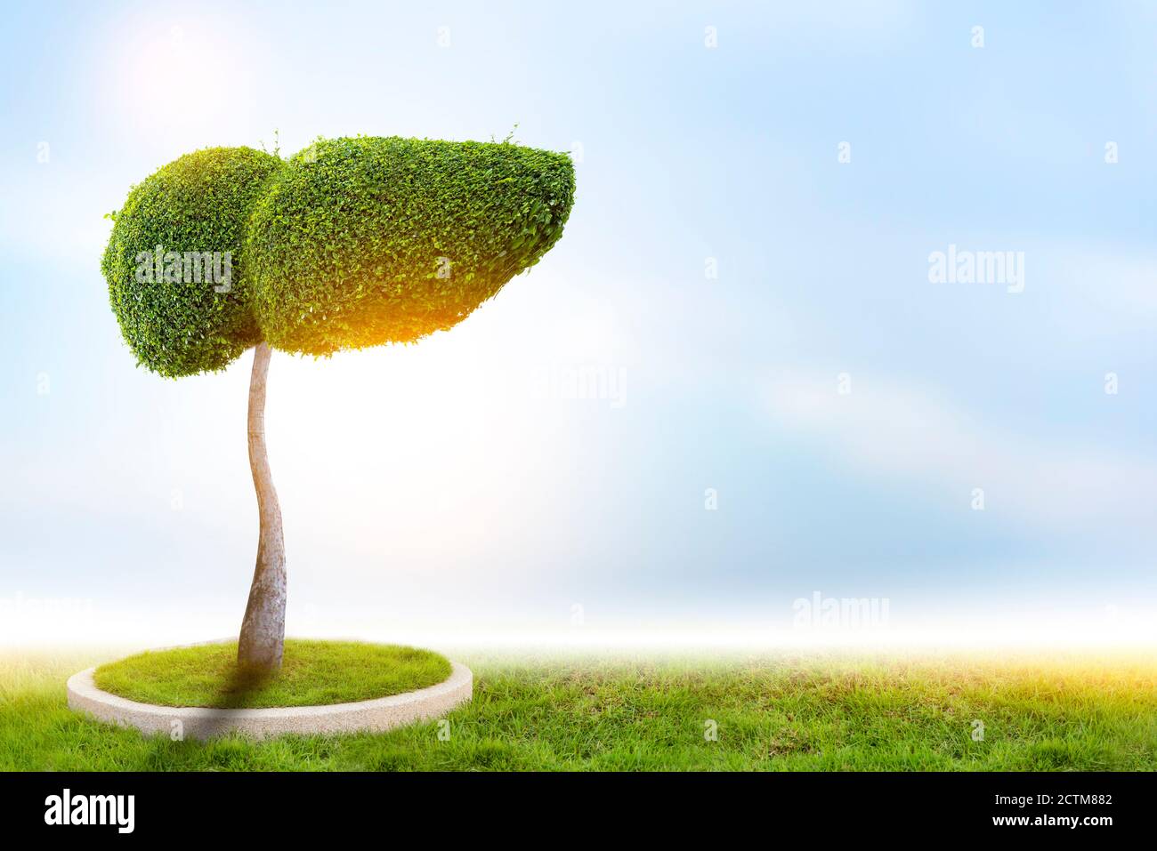 Realistic liver images are human green tree shapes about diseases and ...