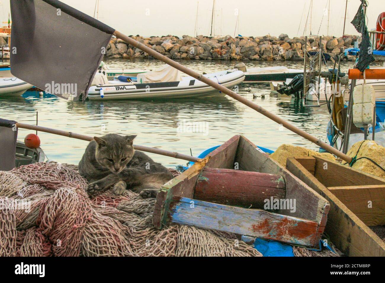 Il postino hi-res stock photography and images - Alamy