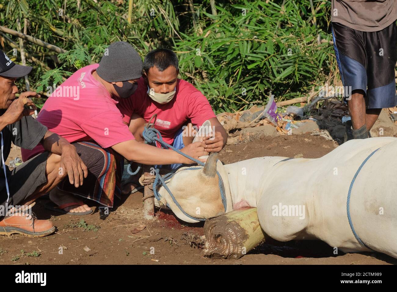 Purbalingga, Indonesia - Juli 31 2020: imam prays before slaughtering ...