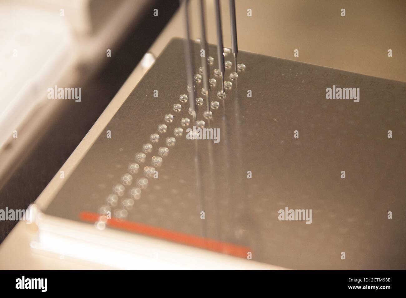 Microbiology plate hi-res stock photography and images - Alamy