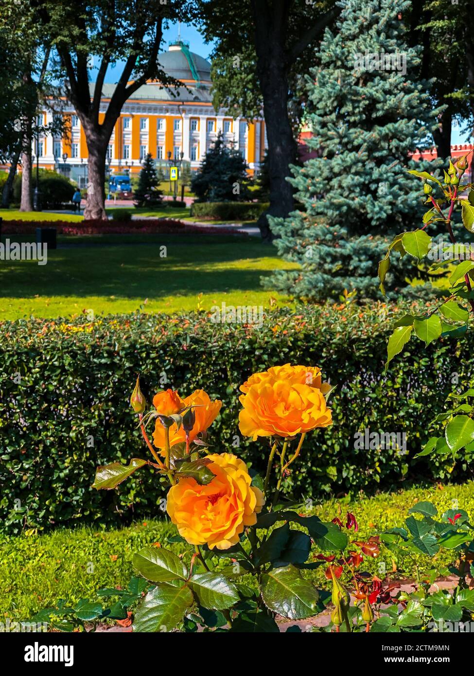 Colorful flowers in Moscow Kremlin gardens. Moscow, Russia Stock Photo ...