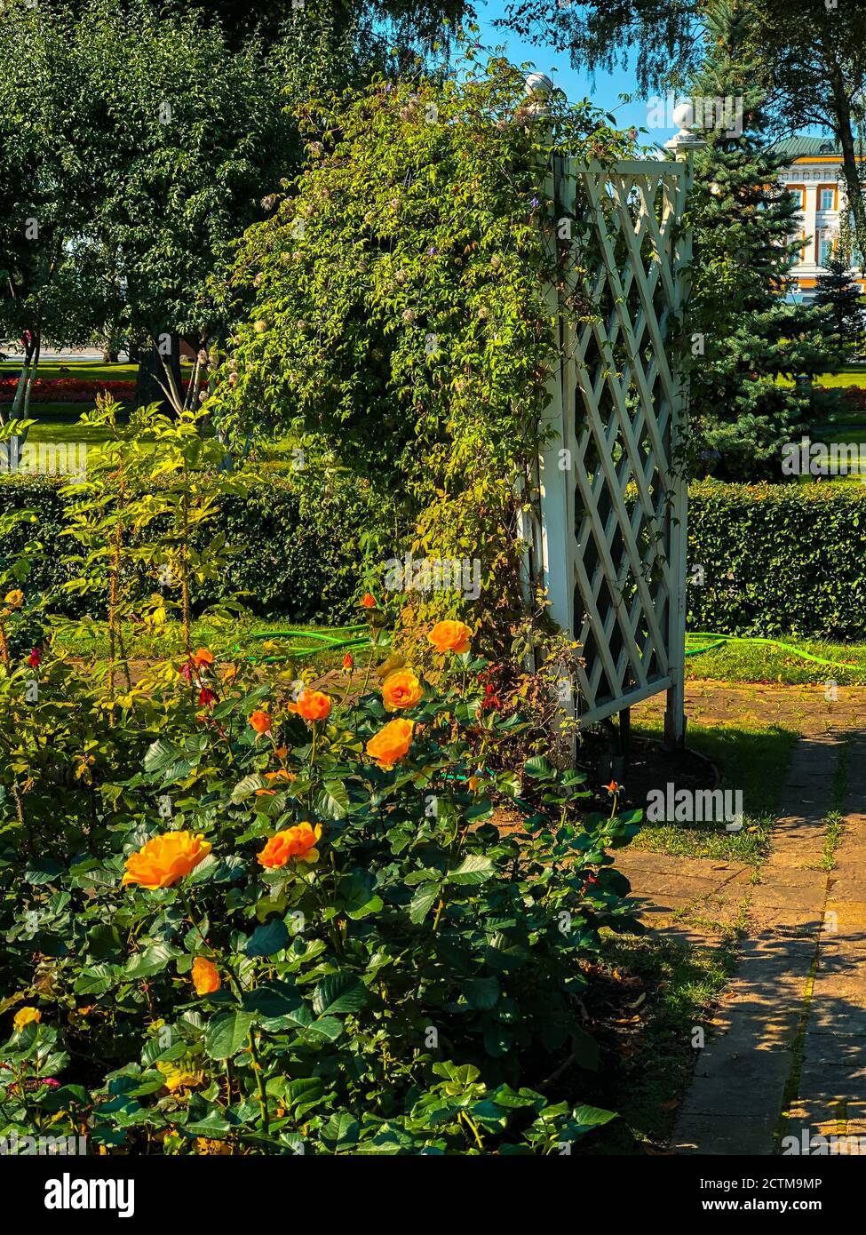Colorful flowers in Moscow Kremlin gardens. Moscow, Russia Stock Photo ...