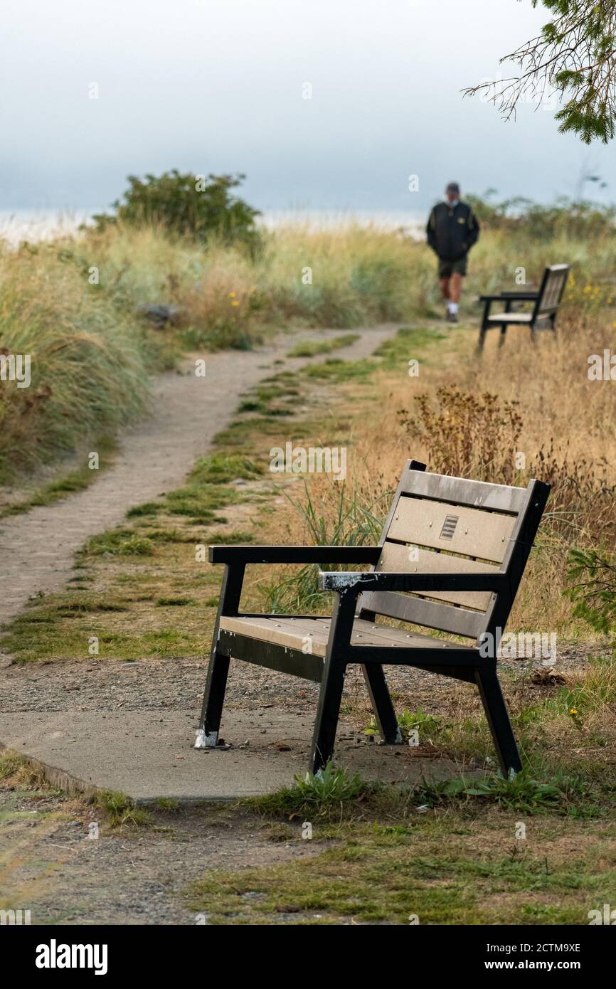 Beautiful shot wooden benches hi-res stock photography and images - Alamy