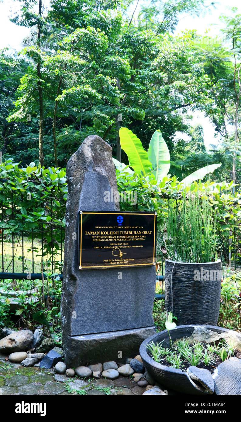Bogor, Indonesia - October 20, 2019: Medicinal Plants Collections in ...